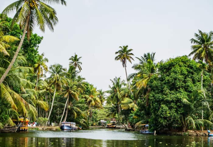 8 Reasons to Visit Alappuzha Backwaters