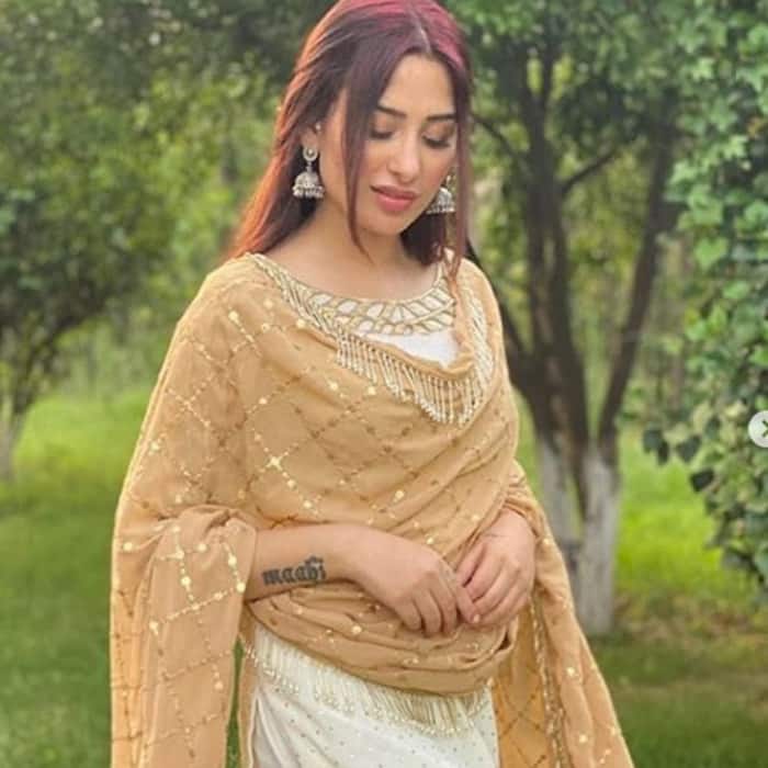Mahira Sharma Flaunts Her Traditional Avatar