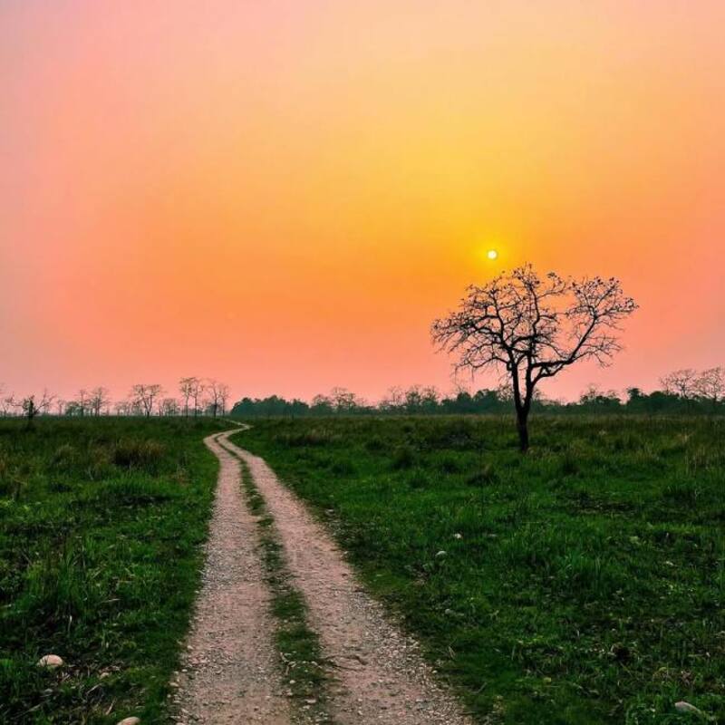 7 Must Visit Places To Explore In Assam