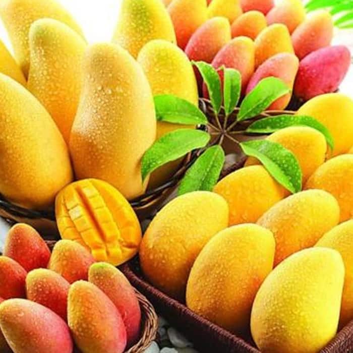 7 surprising health benefits of MANGO