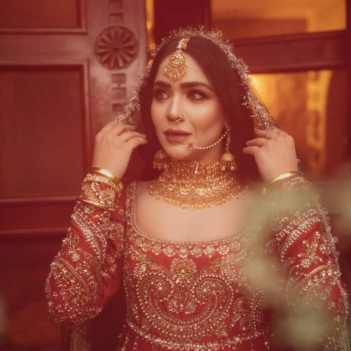 Meet Humaima Malik, had affair with star cricketer twice her age, his ...