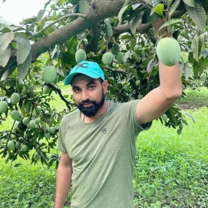 Step inside Mohammad Shami's luxurious farmhouse worth Rs 150000000, it ...