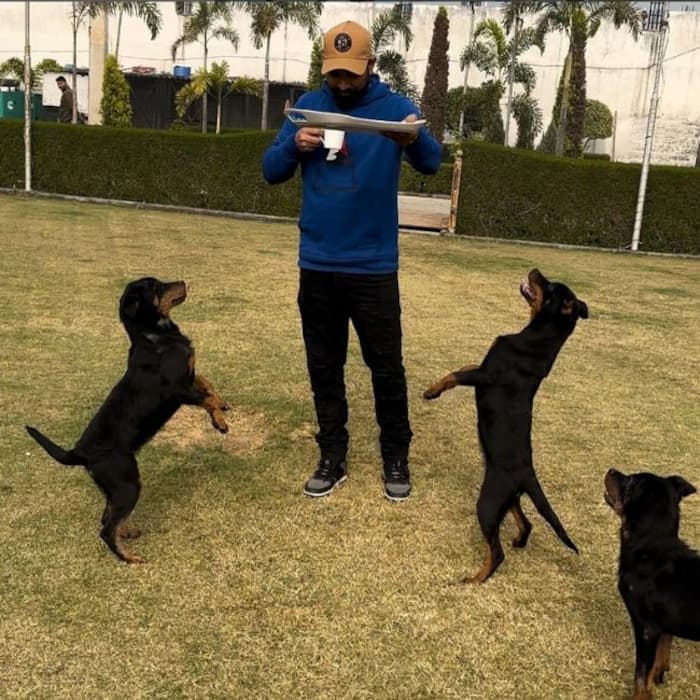 Inside photos of Mohammed Shami's luxurious and massive farmhouse, it ...