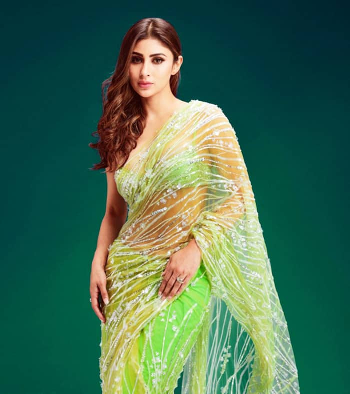 Mouni Roy looks drop dead gorgeous in a glamorous saree
