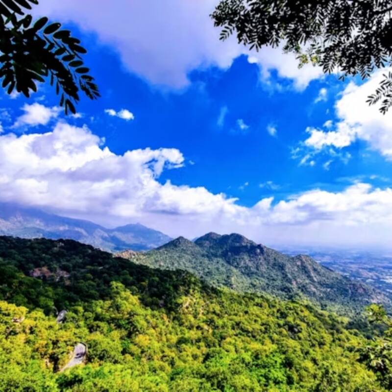 8 Family-Friendly Vacation Spots In India For The Summer Break