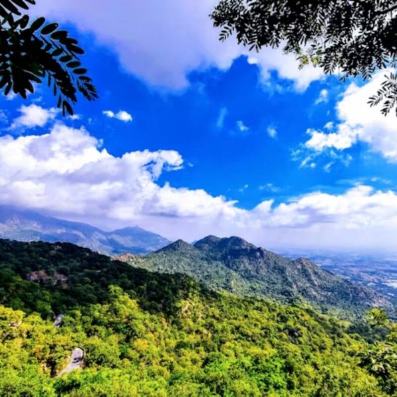 7 Family-Friendly Summer Destinations In India For A Refreshing Break