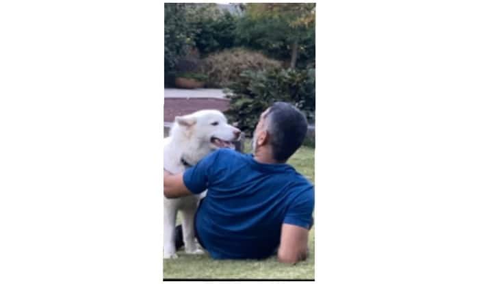 MS Dhoni's Furry Love Will Introduce You to The Other Side of CSK ...