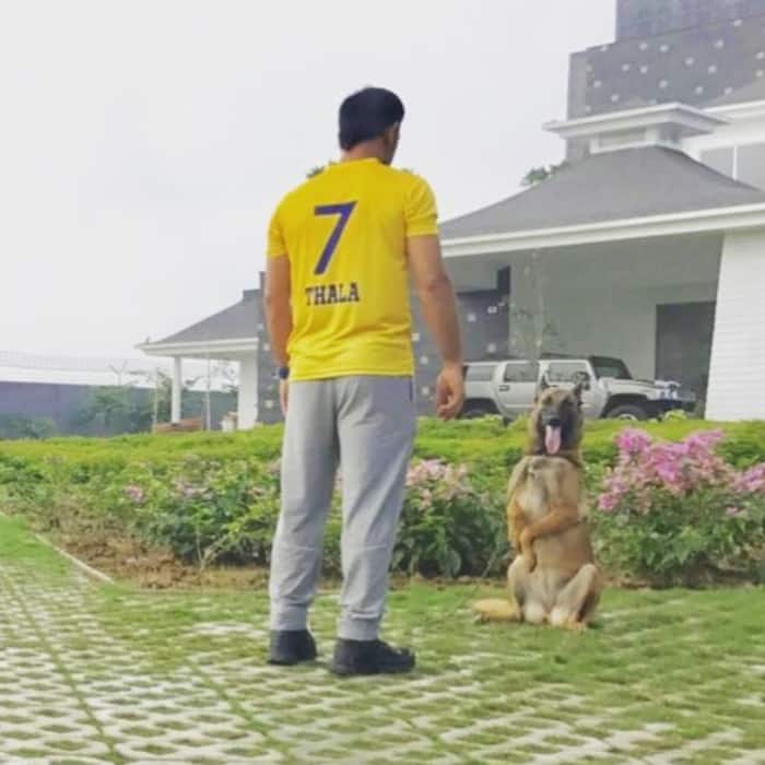 MS Dhoni lives in a massive farmhouse in Ring Road area of Ranchi