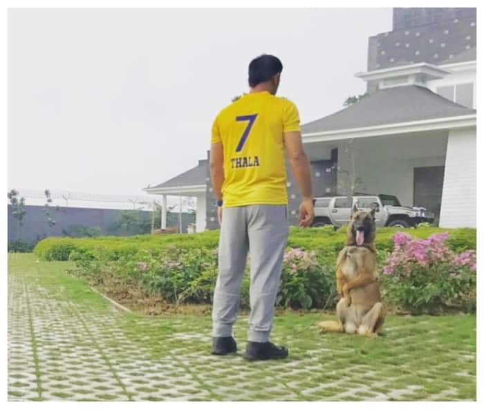 Step inside LUXURIOUS farmhouse of former CSK captain MS Dhoni, it ...