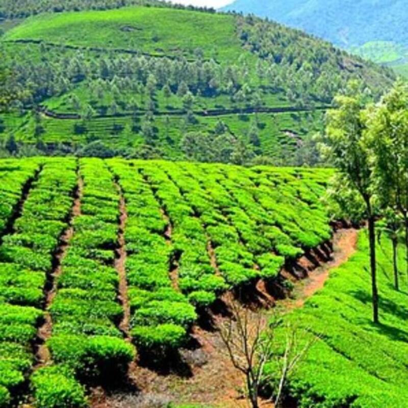 8 Fun Summer Places In India To Enjoy With Friends