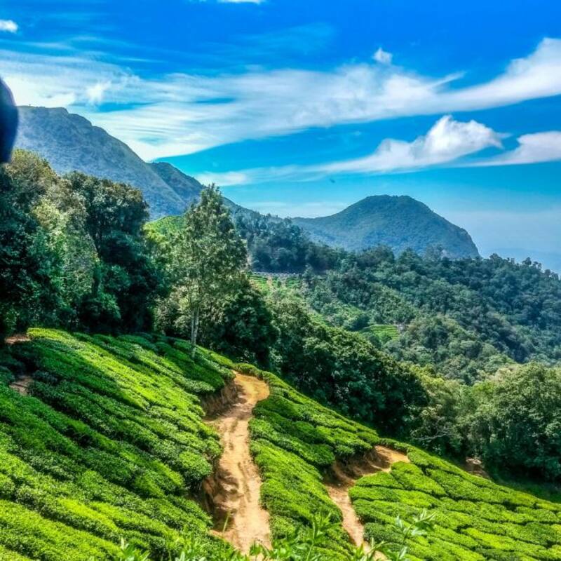 8 Breathtaking Summer Vacation Destinations In South India