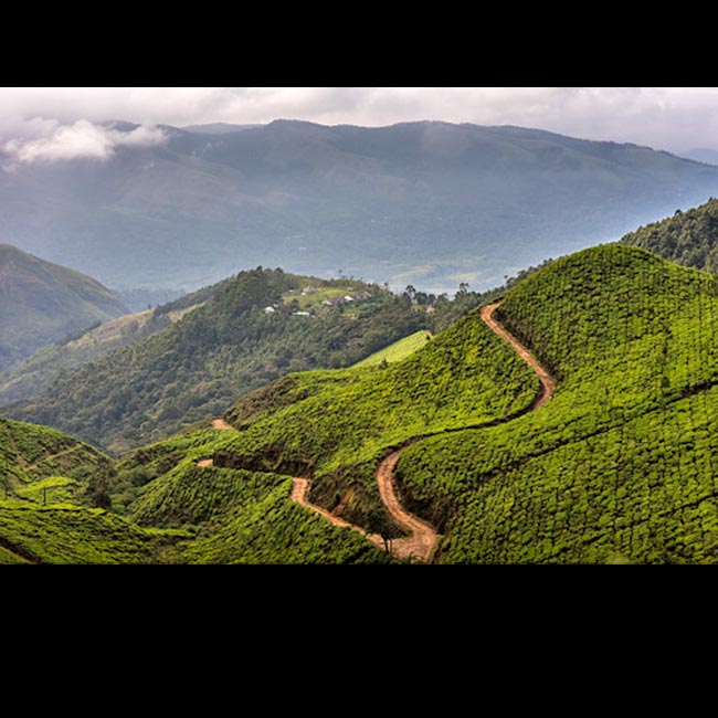 Munnar is located in Kerala