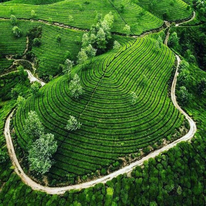 Top 10 Landscapes In India That Deserve A Spot On Your Travel List