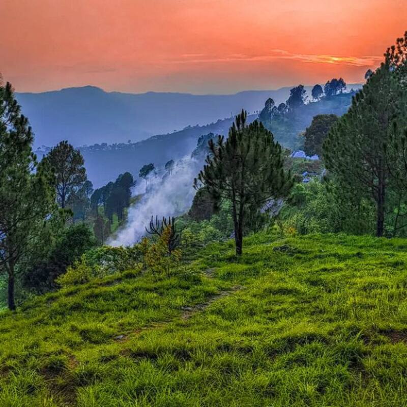 7 Mesmerizing Hill Stations Near Delhi NCR For A Refreshing Escape