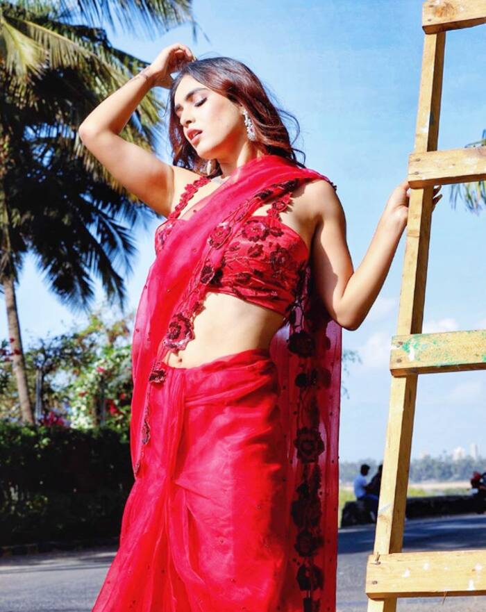 Hot Telugu And Punjabi Actor Neha Malik Oozes Oomph in a Sexy Red Netted Saree