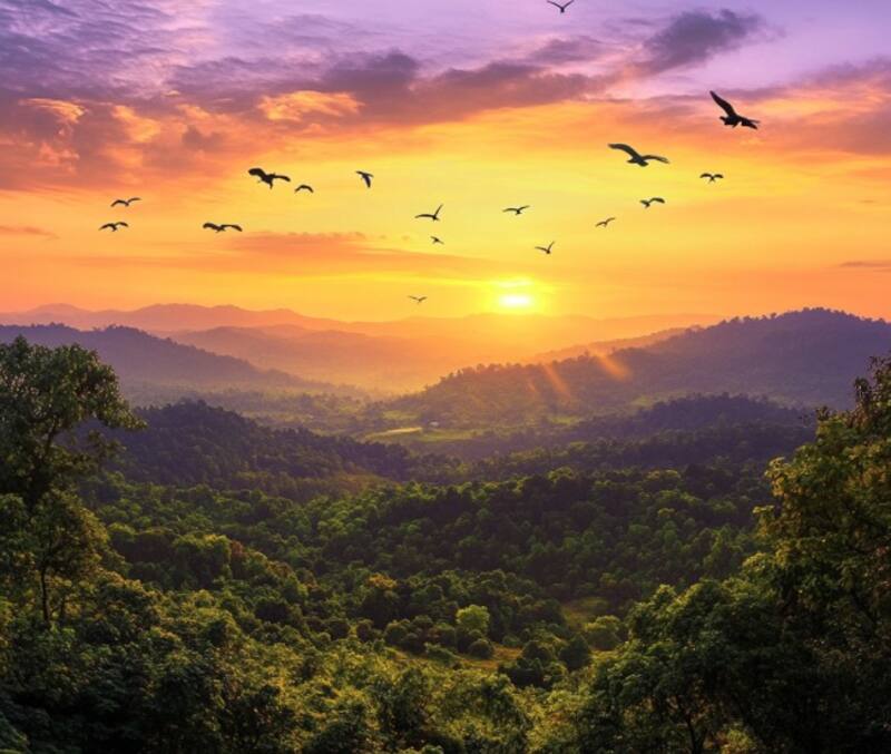 5 Best Wildlife And Nature Destinations In Jharkhand