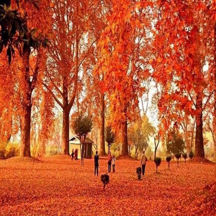 7 Prettiest Gardens In India To Fall In Love With Nature Again