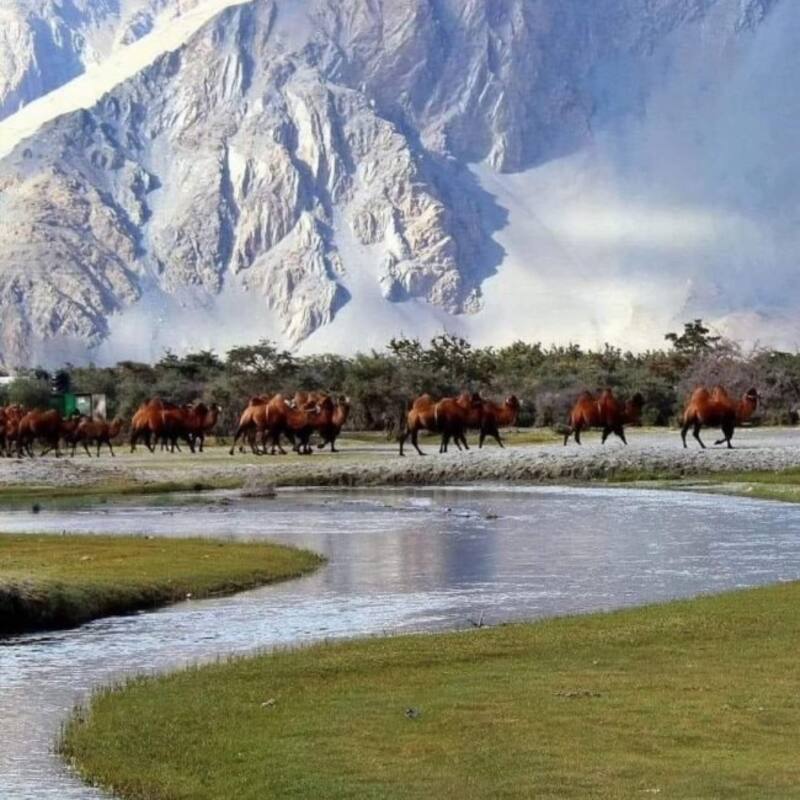 Top 10 Landscapes In India That Deserve A Spot On Your Travel List