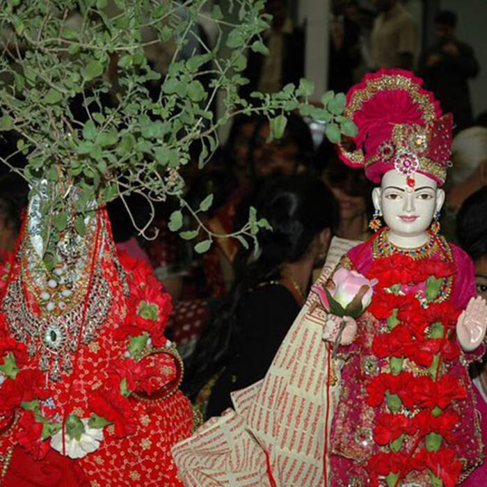 Tulsi Vivah 2016: Here is the significance and importance of this festival