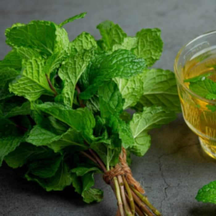 7 gut-friendly foods that Instantly tackle bloating
