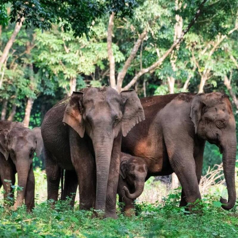Top 9 Eco-Tourism Spots In South India