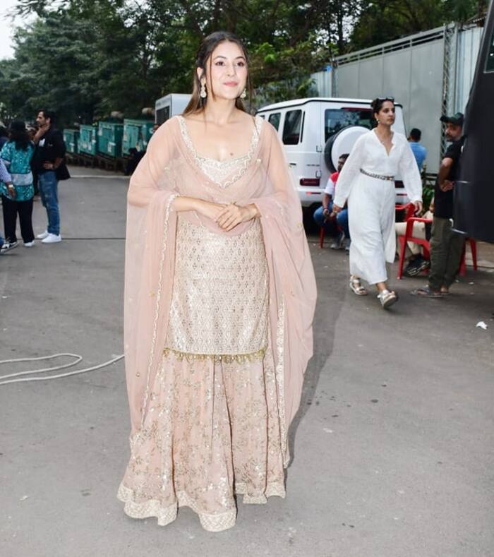 Shehnaaz Gill looks pretty in this gorgeous rose gold skirt suit