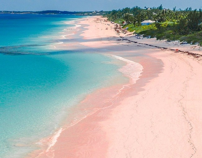 Pink Sand Beach in Bahamas