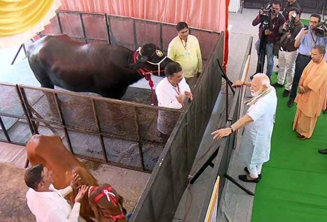 PM Modi Launches National Animal Disease Control Programme in Mathura ...