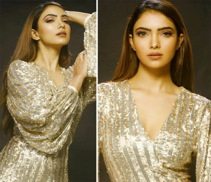 Pooja Banerjee Stuns in Saree