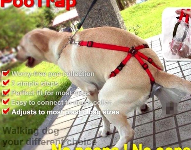 8 weird product names in the market ever