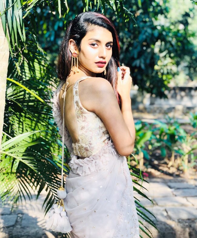 Priya Prakash Varrier's Saree Look