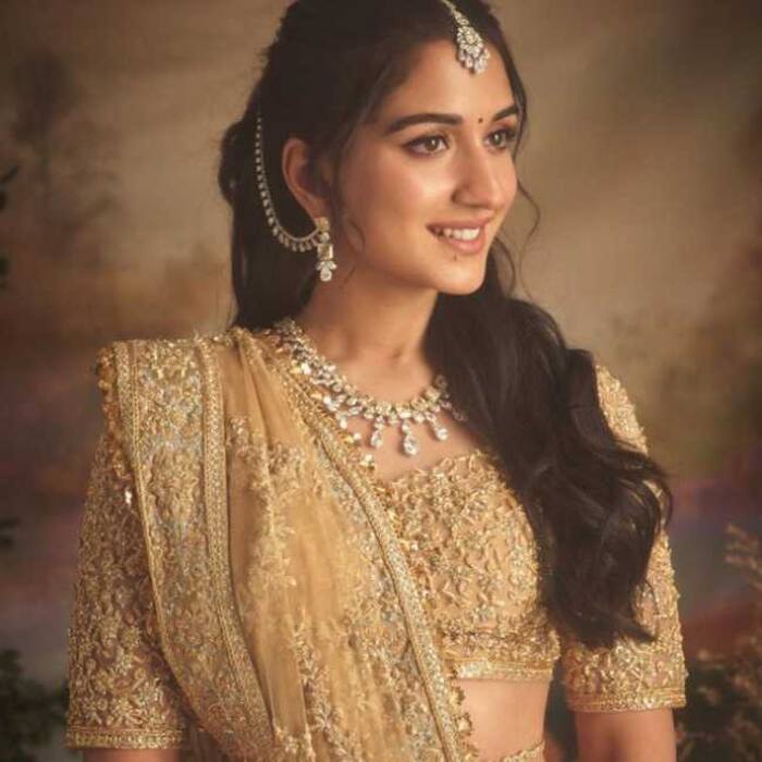 Diwali 2025: 7 Festive Looks Inspired By Radhika Merchant, Nita Ambani ...