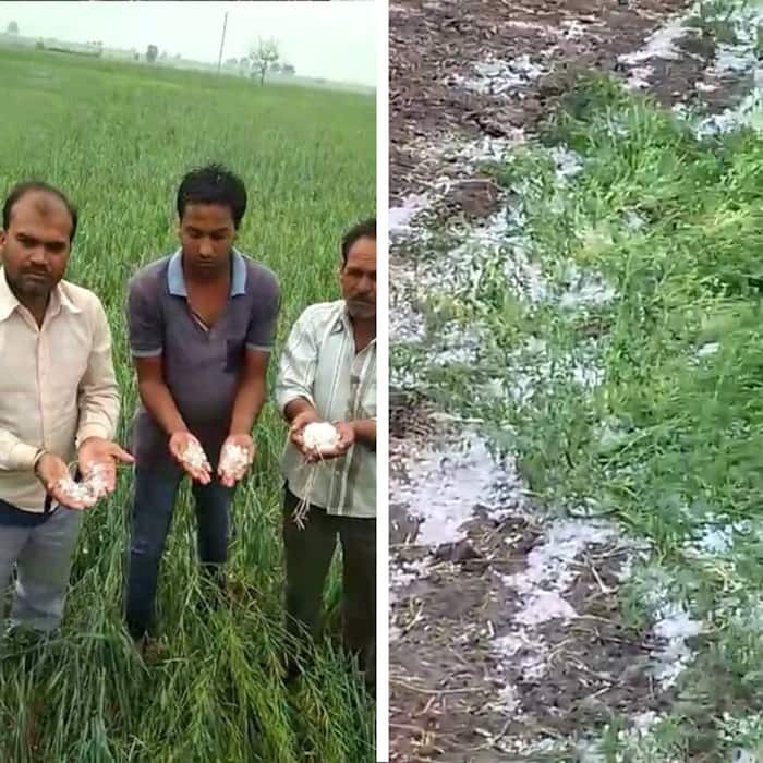 News in Pics- 12 February 2018