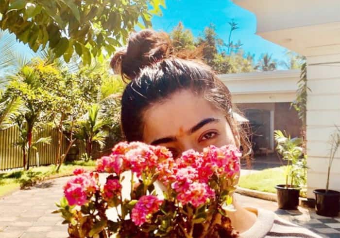 Inside Rashmika Mandanna’s House- Stylish Couch, Lush Green Plants and ...