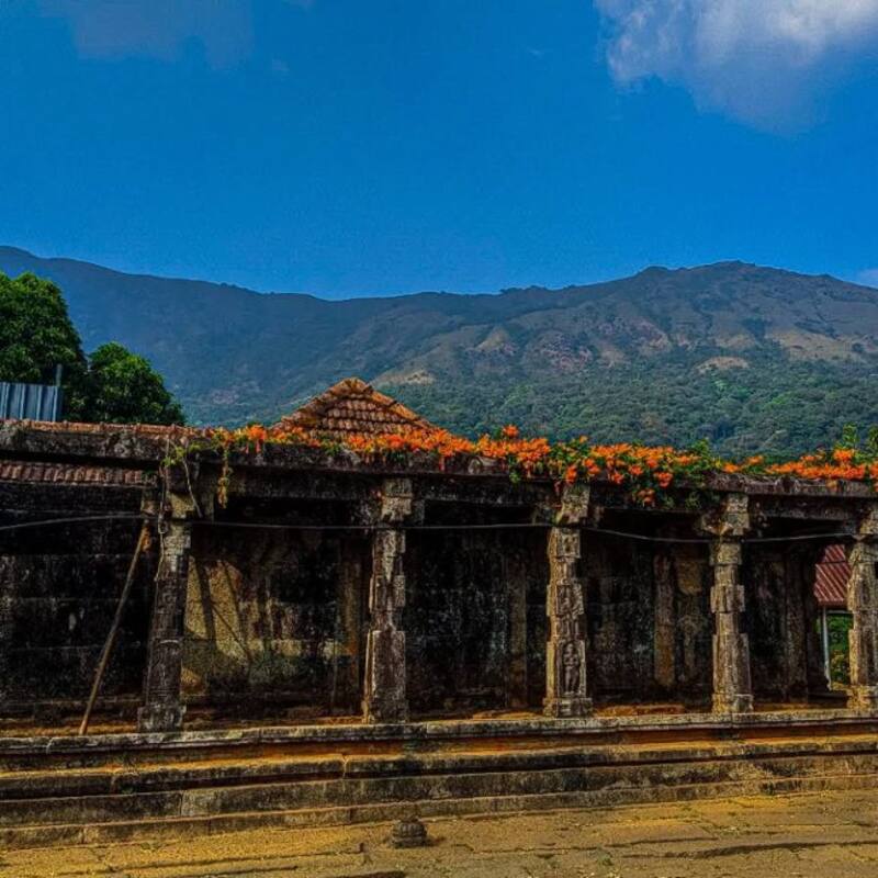 7 Reasons Why Wayanad Should Be On Your Summer Wishlist