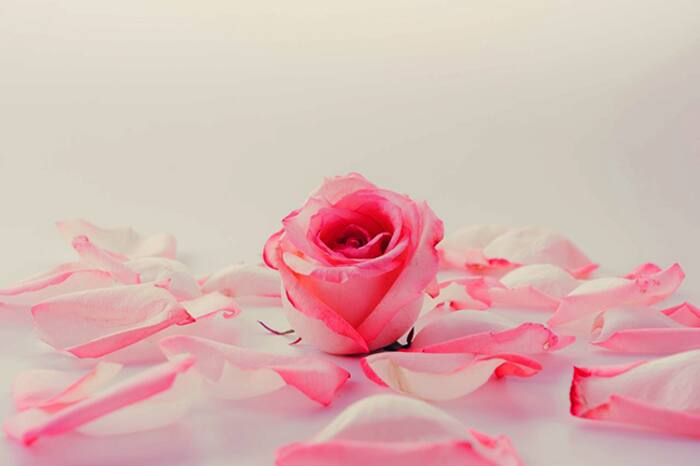 Rose Water Benefits: 5 Reasons Why You Must Use Rose Water Daily For ...