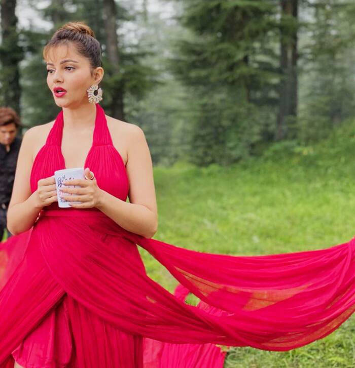 Rubina Dilaik Shares Her 'Gown Story' With Drop Dead Gorgeous Pictures