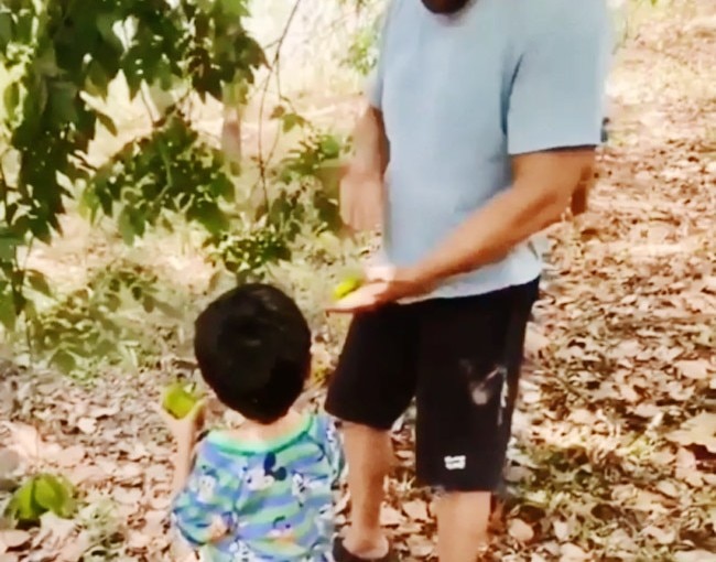 Salman and little Ahil Went Fruit picking