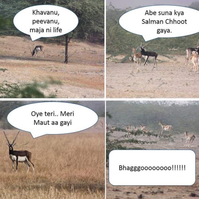 Salman Khan’s meme on his acquittal from Black Buck Case