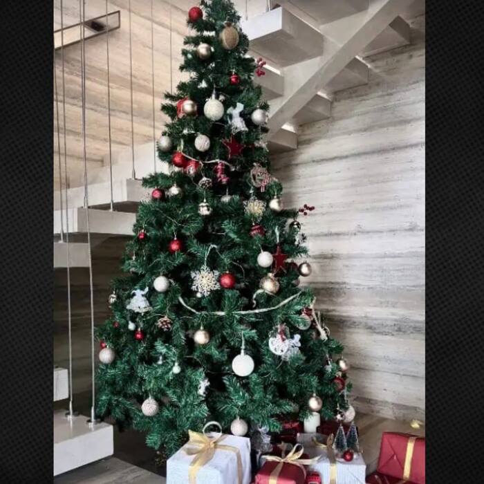 Inside Samantha Ruth Prabhu's luxurious home in Jubilee Hills, Hyderabad