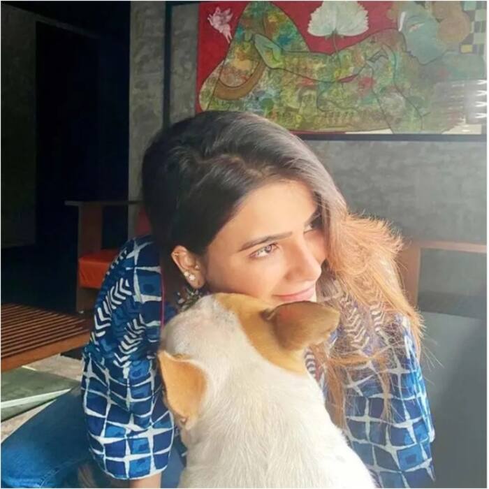 Inside pics of Samantha Ruth Prabhu’s luxurious Hyderabad house worth Rs...: Aesthetic backyard ...