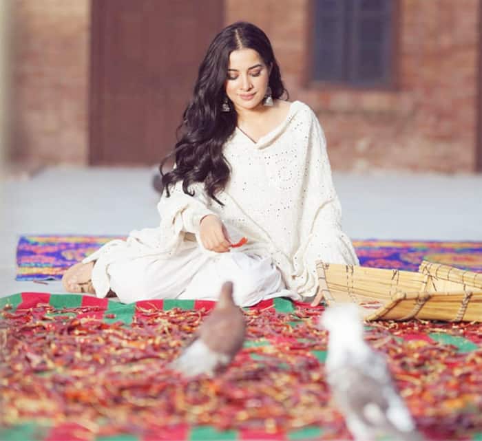 Meet Bigg Boss 14 Contestant Sara Gurpal, The Punjaban Who is Winning ...