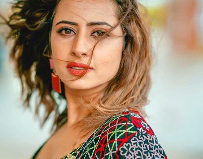 Sargun Mehta and Gippy Grewal Pose With Swag