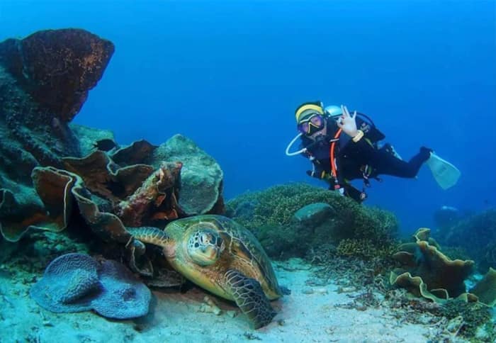 5 Super Thrilling Adventure Activities to Try in Goa