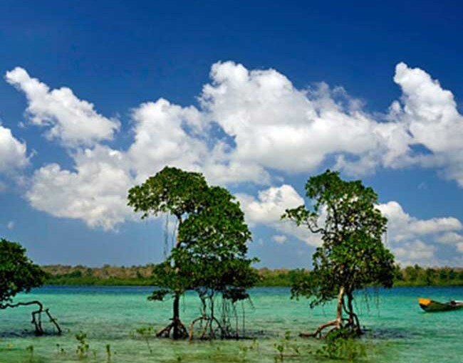 Serene beauty of Andaman Islands