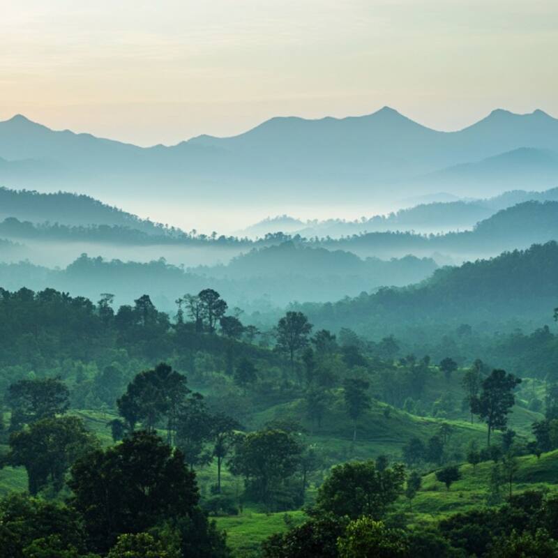7 Reasons Why Wayanad Should Be On Your Summer Wishlist