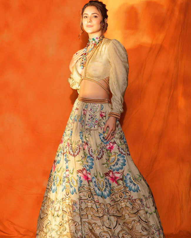 Diwali 2022: Shehnaaz Gill Hot and Sexy Lehenga Photos