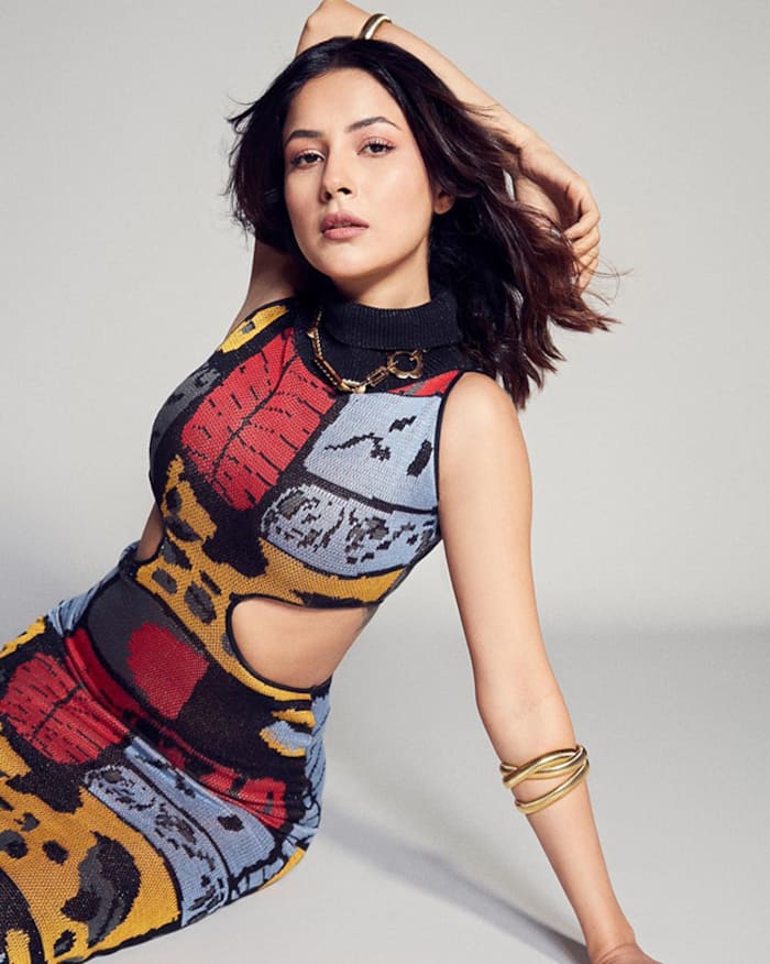 Shehnaaz Gill Stuns in Cut-Out Bodycon Dress With Abstract Print - Pics