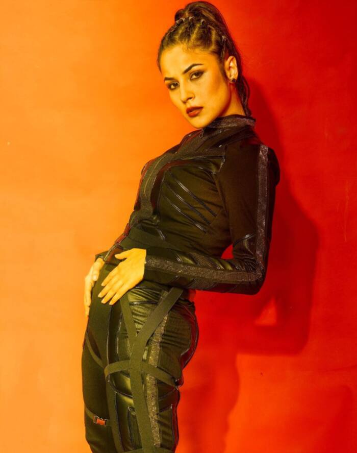 Shehnaaz Gill is Increasing The Temperature Soaring High in All Black ...