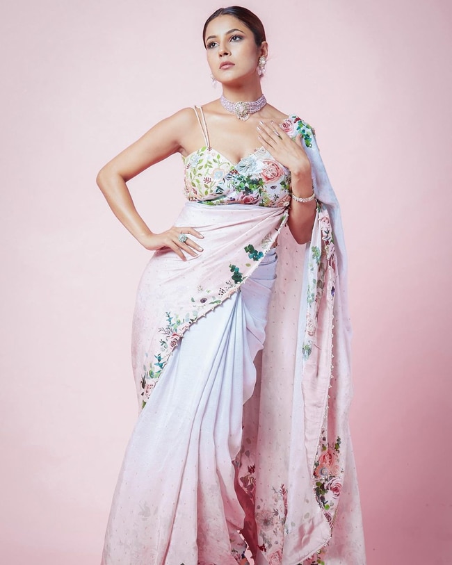 Shehnaaz Gill Raises Glam Quotient in Her Saree Look